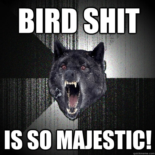 Bird shit is so majestic! - Misc - quickmeme