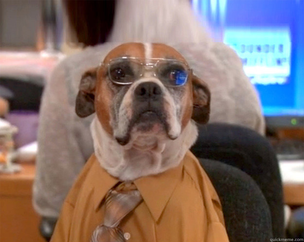 - Dog Dwight - quickmeme