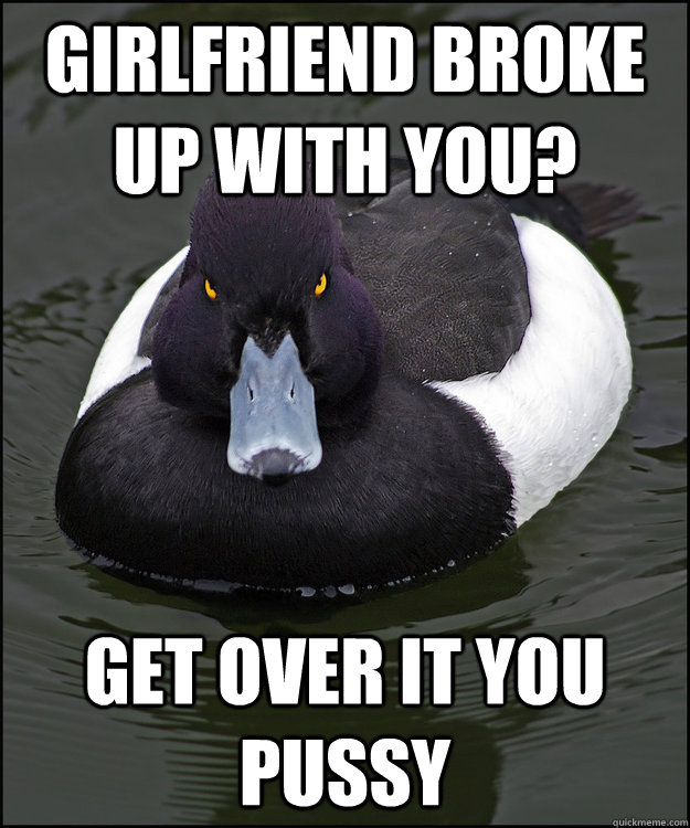 girlfriend broke up with you? get over it you pussy - Angry Advice Duck - quickmeme