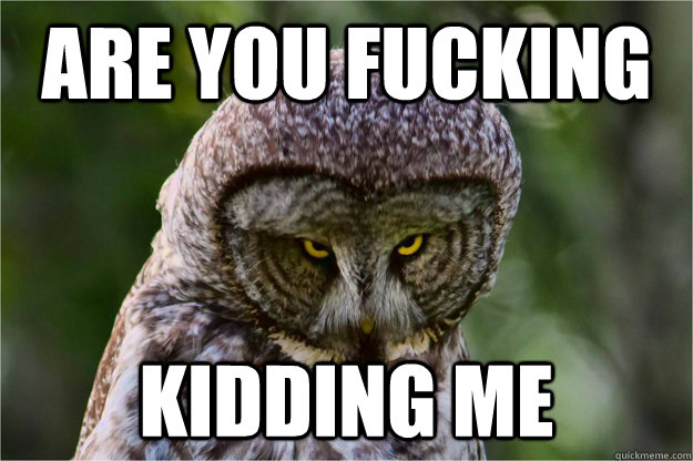 Unimpressed Owl memes | quickmeme