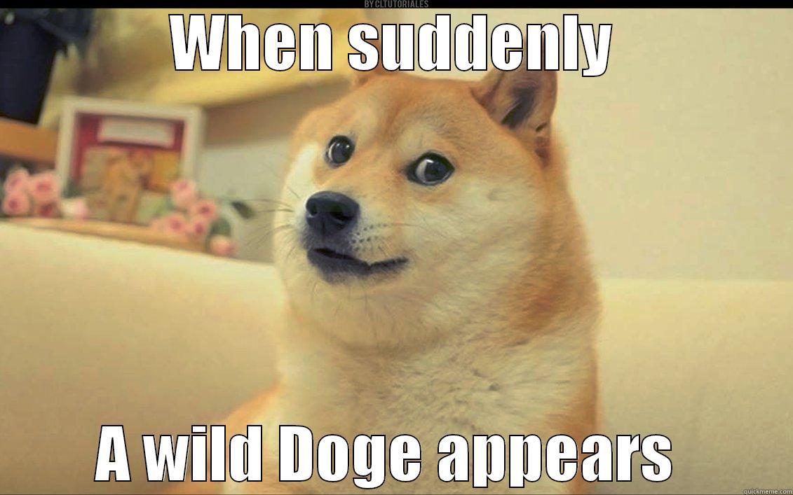 When suddenly a wild Doge - quickmeme