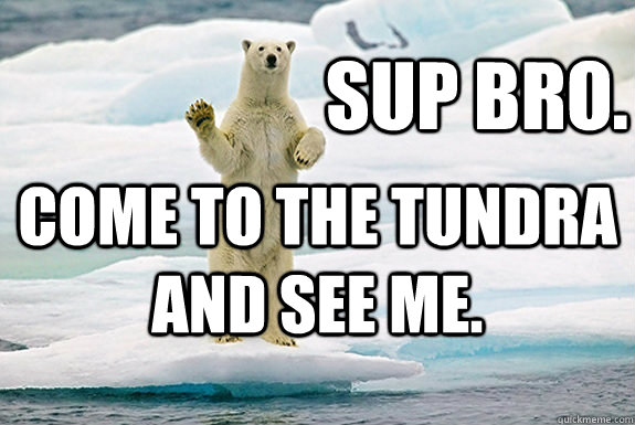 sup bro. come to the tundra and see me. - Pushover Polar Bear - quickmeme