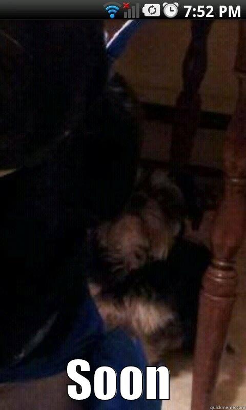 Bowie soon Doge - quickmeme