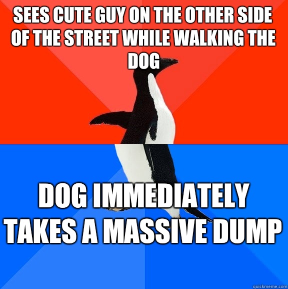 Sees cute guy on the other side of the street while walking the dog Dog immediately takes a ...