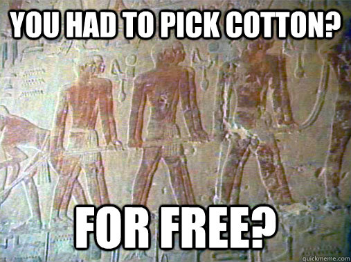 You had to pick cotton? for free? - Really Unimpressed Slave - quickmeme