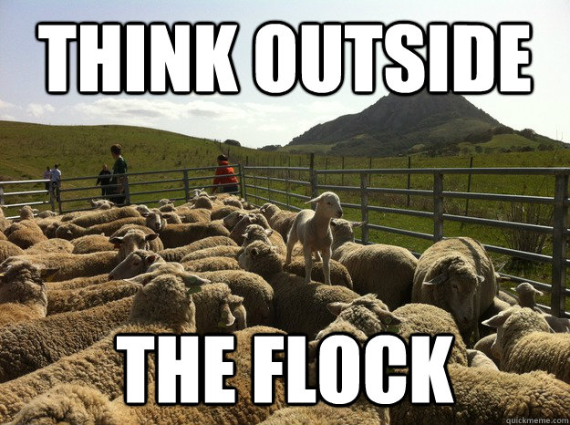 Think outside the flock - Crown Surfing Lamb - quickmeme