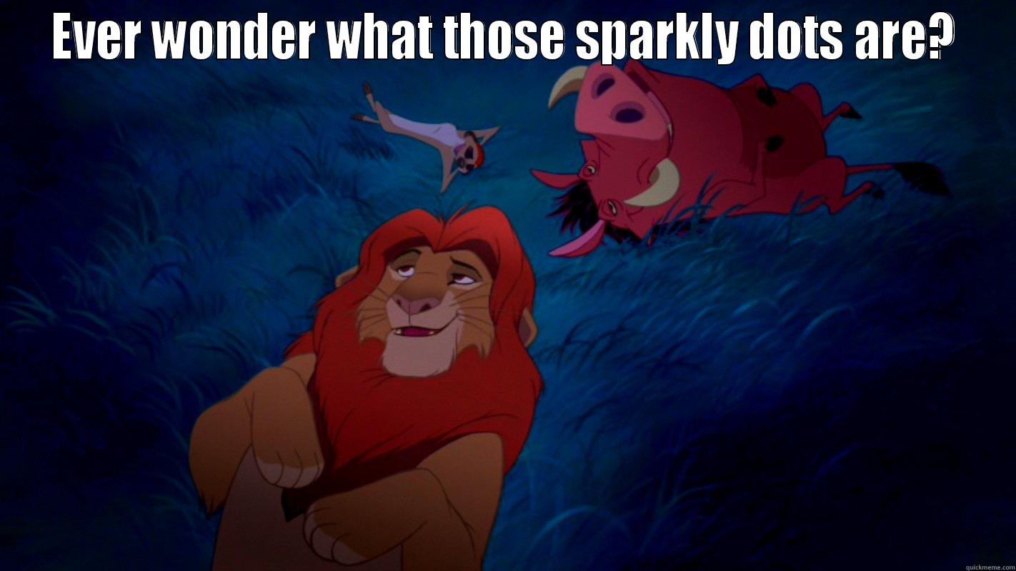 lion king - quickmeme