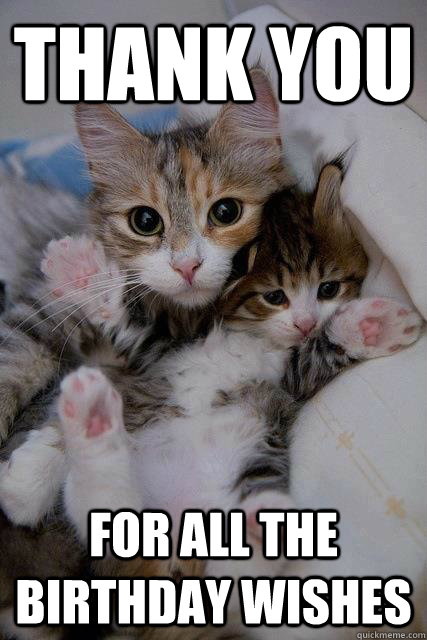 THANK YOU FOR ALL THE birthday WISHES - lolzmoment-cute-birthday-cat - quickmeme