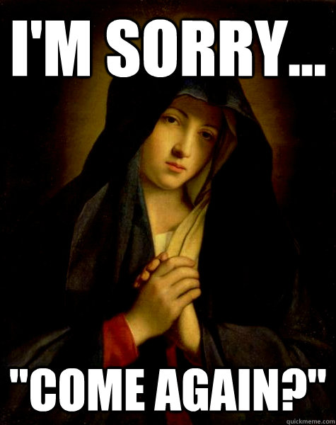 I'm sorry... "come again?" - Single Mom Mary - quickmeme
