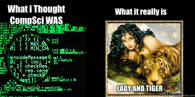 What I Thought Compsci Was What It Really Is Lady And Tiger Compsci 1731