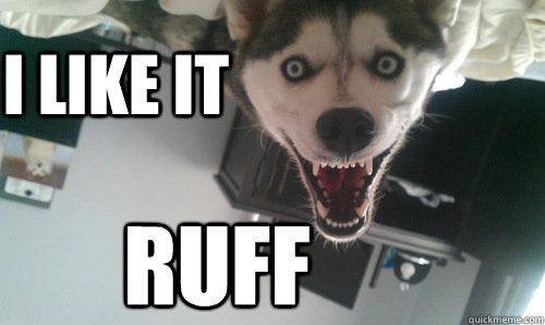 I like it ruff - Obsessive Dogfriend - quickmeme
