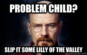 PROBLEM CHILD? SLIP IT SOME LILLY OF THE VALLEY - Insanity Walt - quickmeme