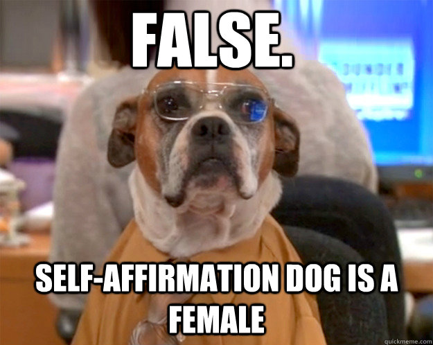 FALSE. Self-affirmation dog is a female - Dog Dwight - quickmeme