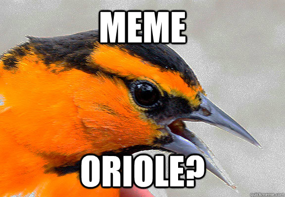 MEME ORIOLE? - Thats Puntastic! - quickmeme