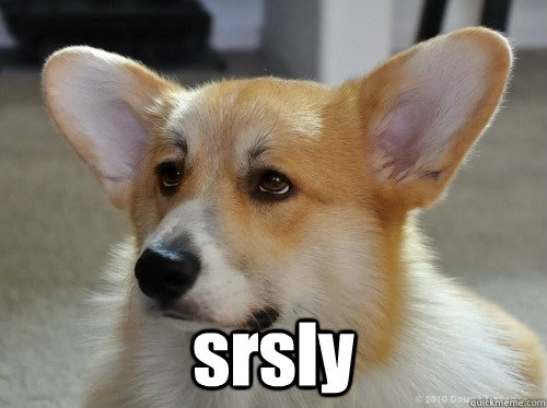 srsly - srsly corgi - quickmeme