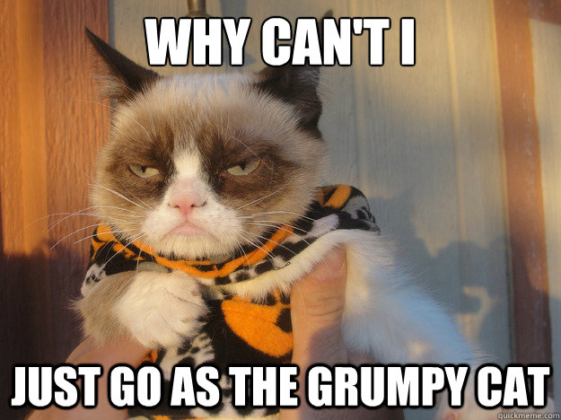 Why can't i Just Go as the Grumpy Cat - Misc - quickmeme