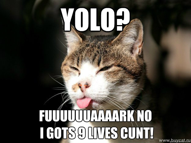 YOLO? YOLNT. - Yolo Cat - quickmeme