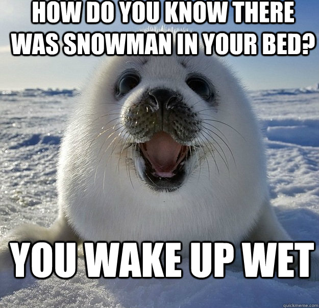 Awkward Joke Seal memes | quickmeme
