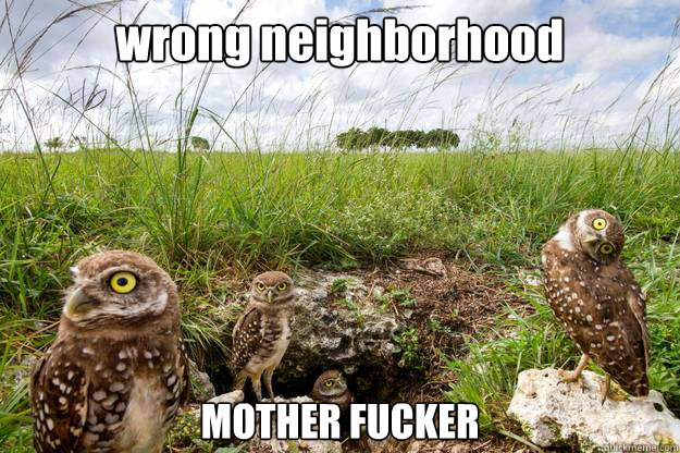 wrong neighborhood MOTHER FUCKER - the owls - quickmeme