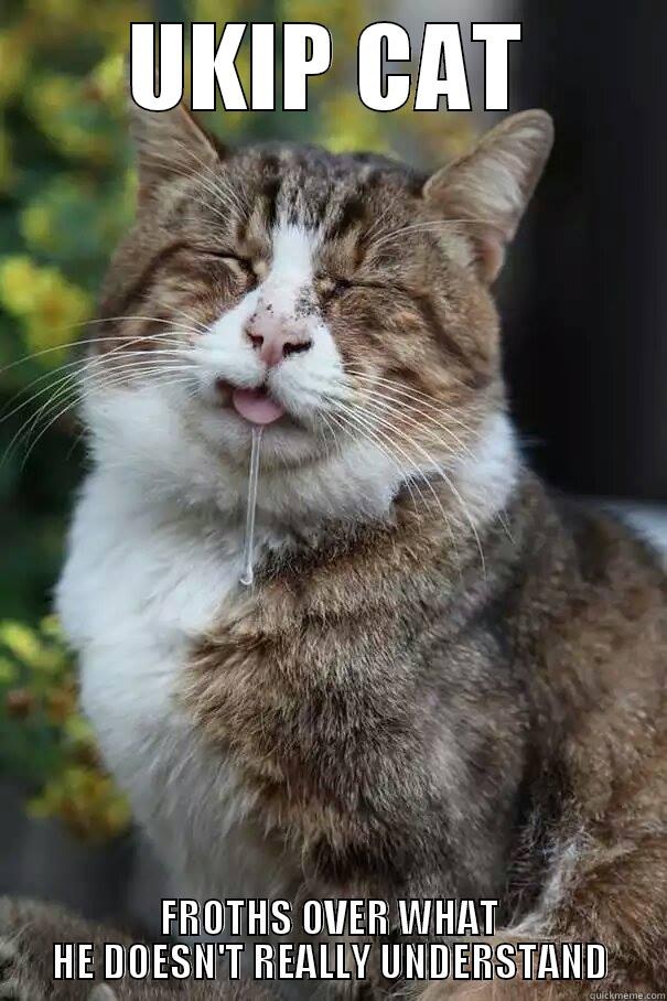 UKIP CAT DRIBBLING - quickmeme