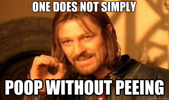 One does not simply poop without peeing - 90s Boromir - quickmeme