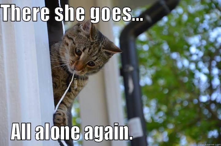 Sad Kitty - quickmeme