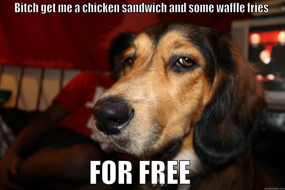 The Condescending Hound - quickmeme