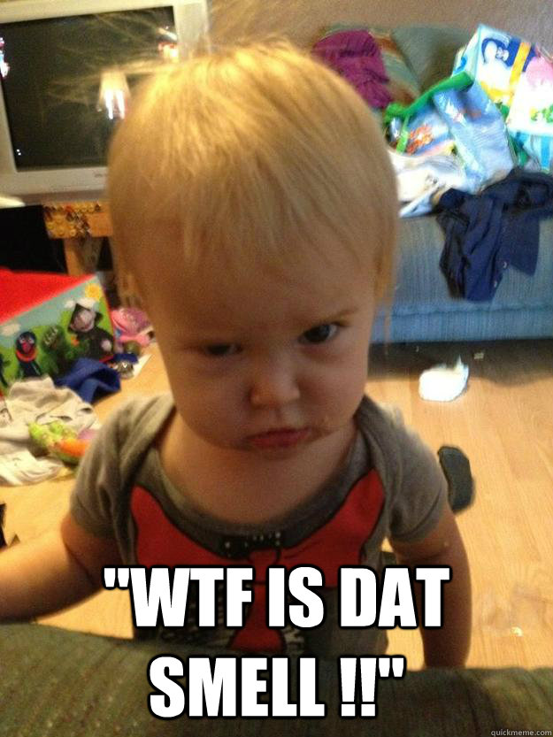 "WTF IS DAT SMELL !!" - Misc - quickmeme