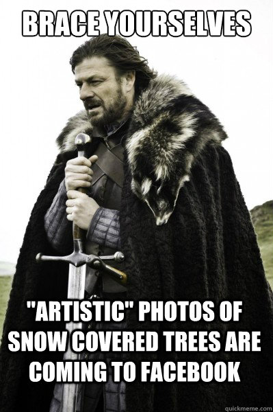 Brace yourselves "artistic" photos of snow covered trees are coming to Facebook - Brace Steve ...