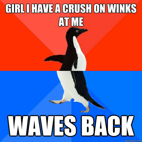 girl i have a crush on winks at me waves back - Socially Awesome Awkward Penguin - quickmeme