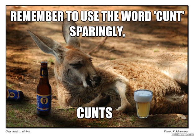 REMEMBER TO USE THE WORD 'CUNT' SPARINGLY, CUNTS - Misc - quickmeme