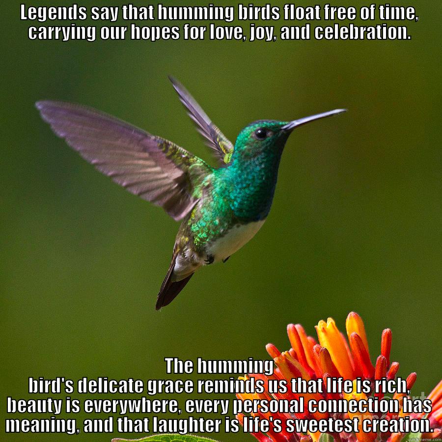 A Message From the Humming Bird. - quickmeme