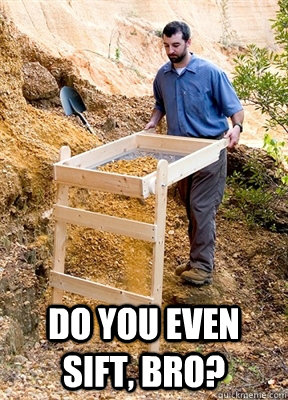 Do you even sift, bro? - Misc - quickmeme