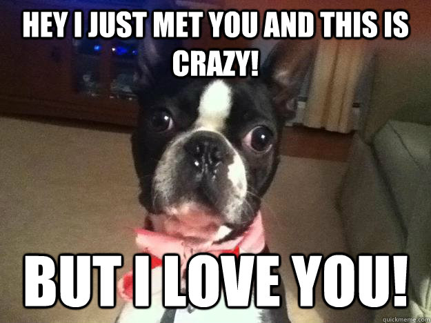 Hey I just met you and this is crazy! But i love you! - Otis - quickmeme