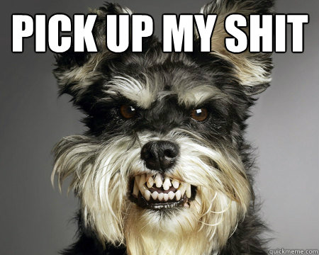 pick up my shit - Dog is Master - quickmeme