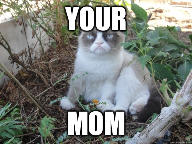 Your Mom - Misc - quickmeme