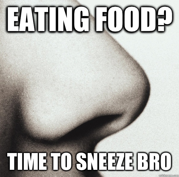 Eating food? Time to sneeze bro - Misc - quickmeme