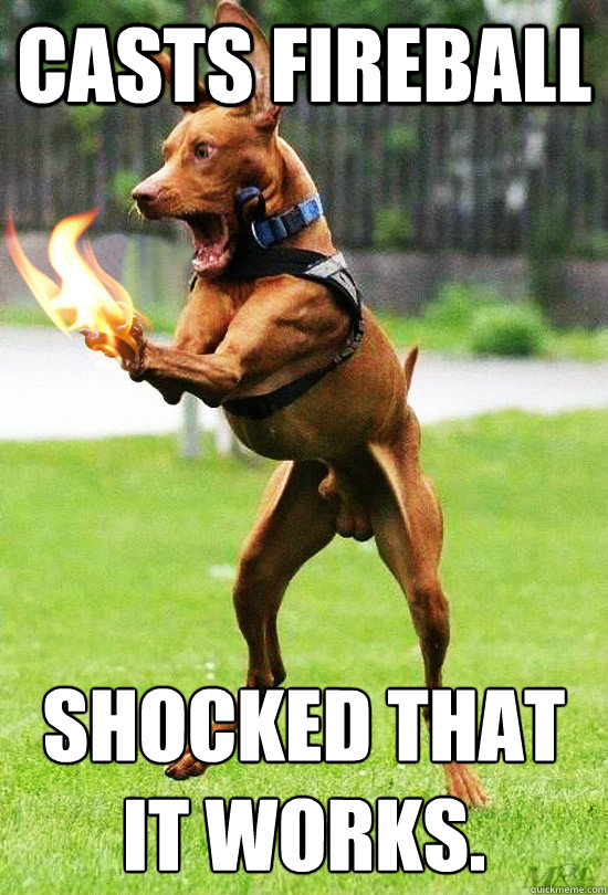 casts fireball shocked that it works. - Apprentice Dog - quickmeme