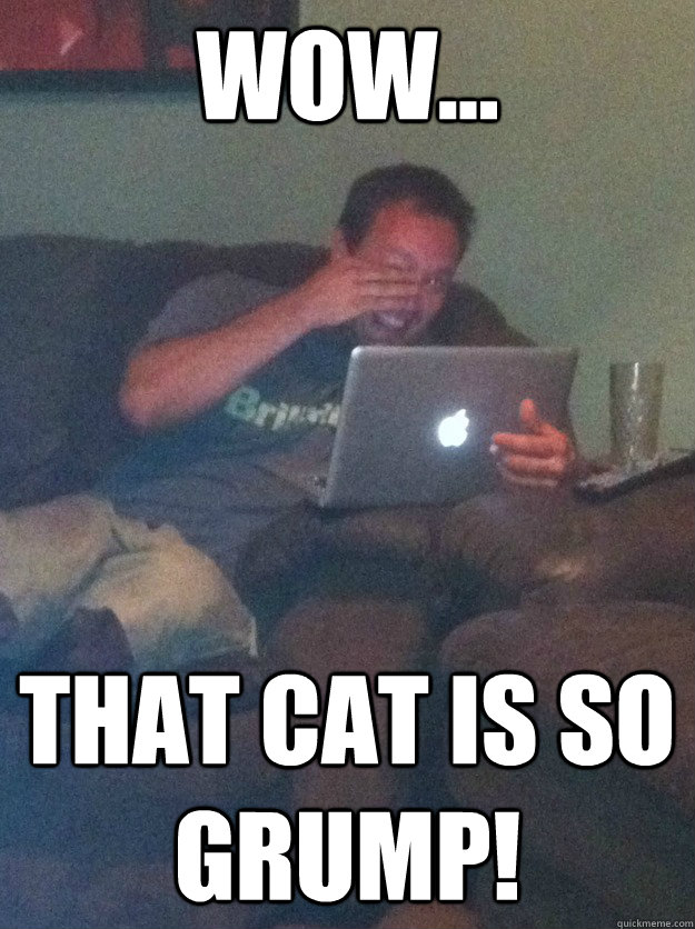 Wow... That cat is so grump! - meme dad on overly attached girlfriend - quickmeme