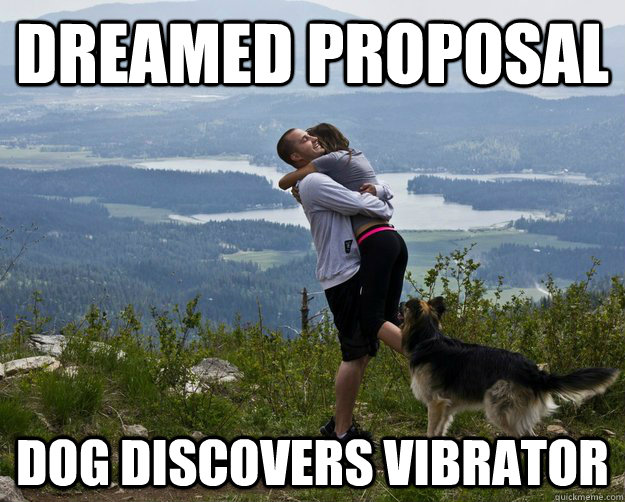 Dreamed proposal Dog discovers vibrator - embarrassing couple - quickmeme