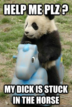 help me plz ? my dick is stuck in the horse - funny cute panda - quickmeme