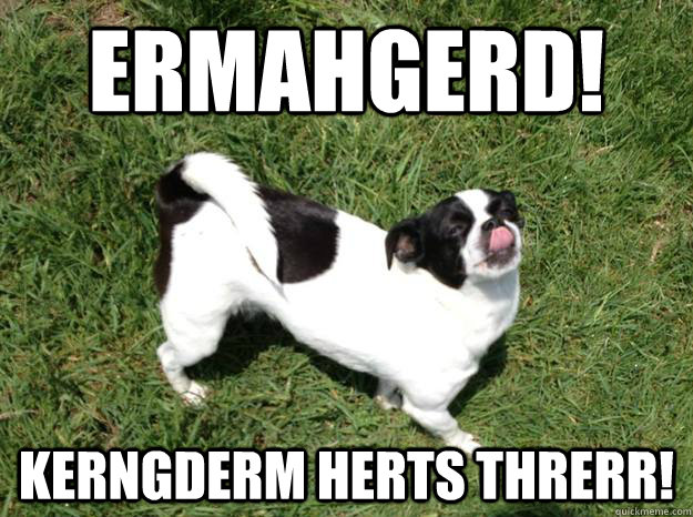 Struttin' and Intimidatin' cause bitches be hatin' - Bitches Be Hatin - quickmeme