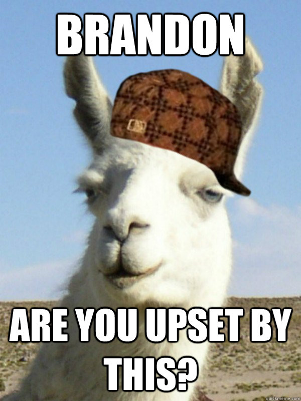 Brandon Are you upset by this? - Scumbag Llama - quickmeme