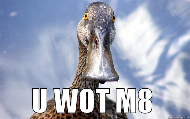 U WOT M8 - quickmeme