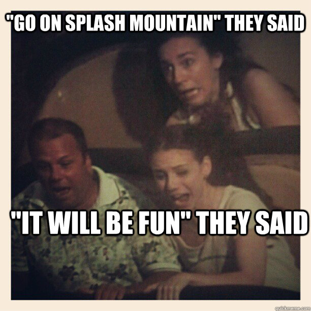"Go on splash mountain" they said "it will be fun" they said - it will be fun - quickmeme