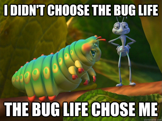 I didn't Choose the Bug life The bug life chose me - Bug Life Thug life - quickmeme