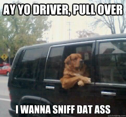 ay yo driver, pull over I wanna sniff dat ass - Misc - quickmeme