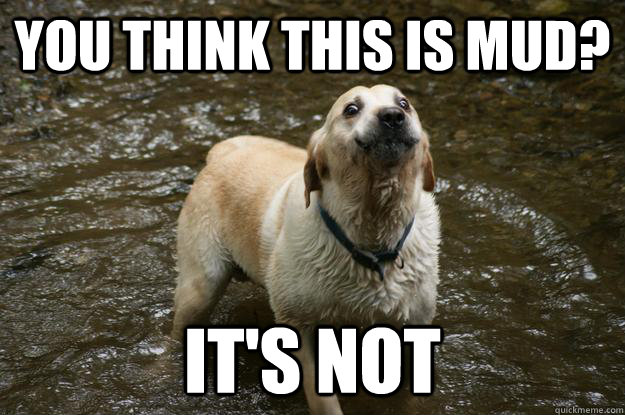 You think this is mud? It's not - Secret Keeping Dog - quickmeme