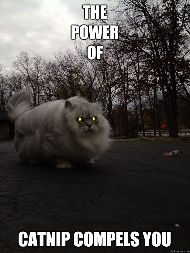 THE POWER OF CATNIP COMPELS YOU - Misc - quickmeme