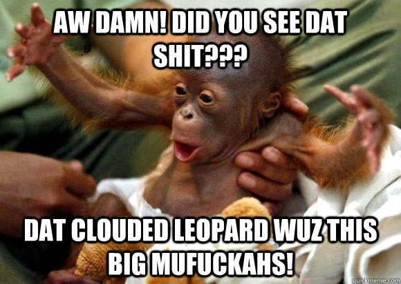 Aw damn! Did you see dat shit??? Dat Clouded Leopard wuz this big mufuckahs! - Gangsta Baby ...